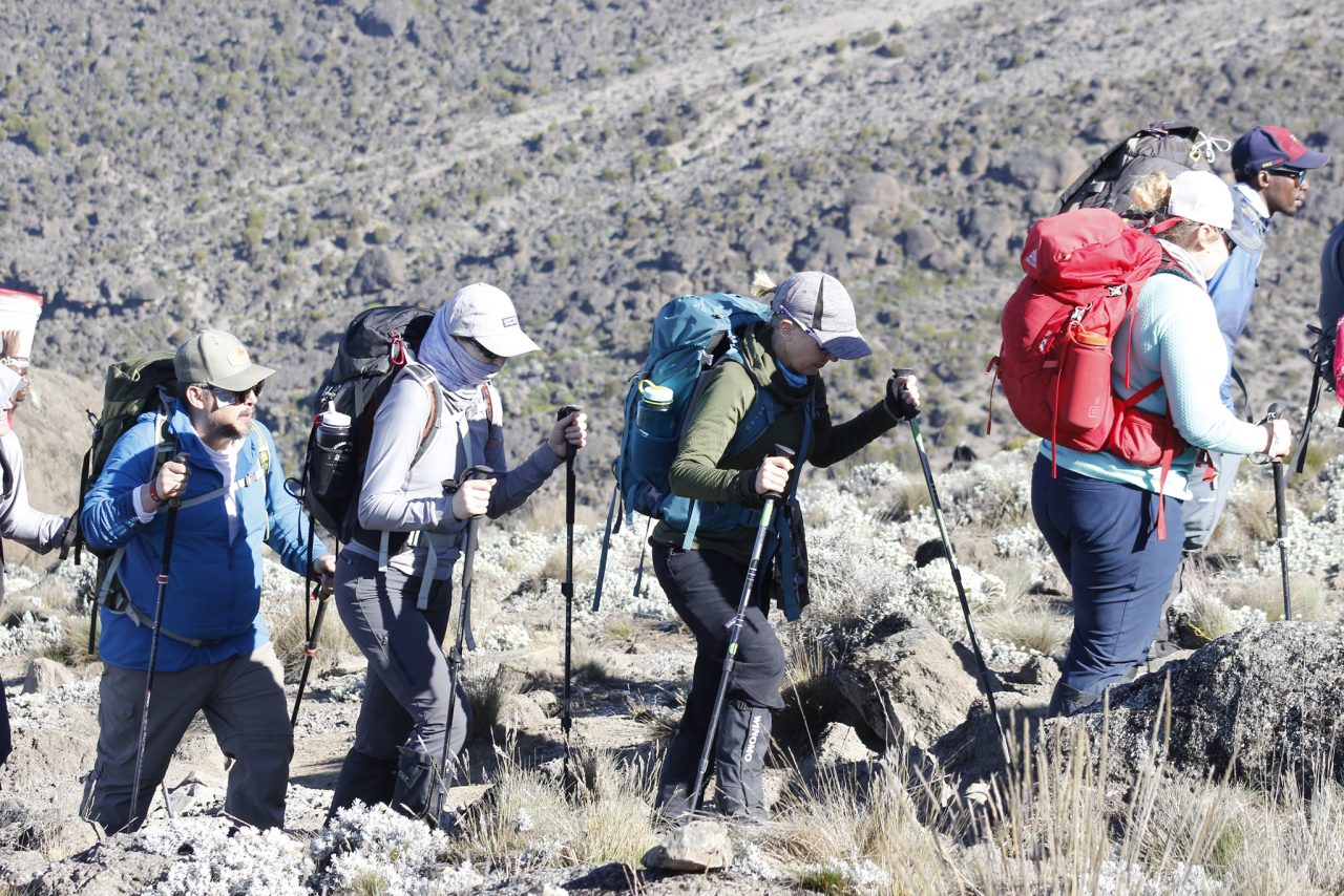 Best 6 Days Rongai Kilimanjaro Route
